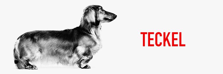 Royal Canin Teckel Hondenvoeding