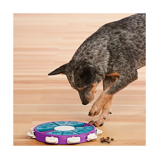 Nina Ottosson Dog Twister Denkspeelgoed Hond ⌀26 cm