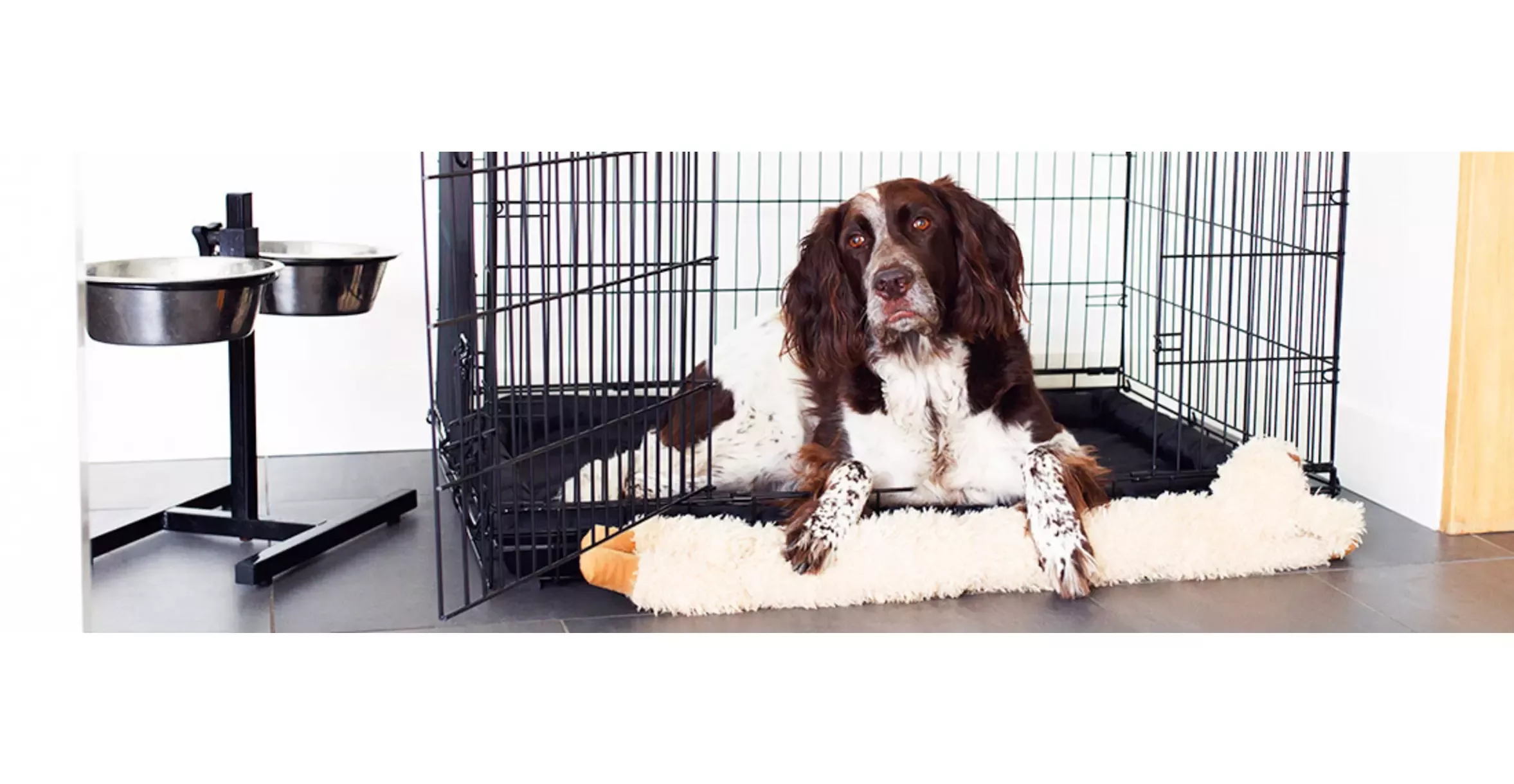 Bench kopen? Bekijk hier hondenbenches voor hond & puppy