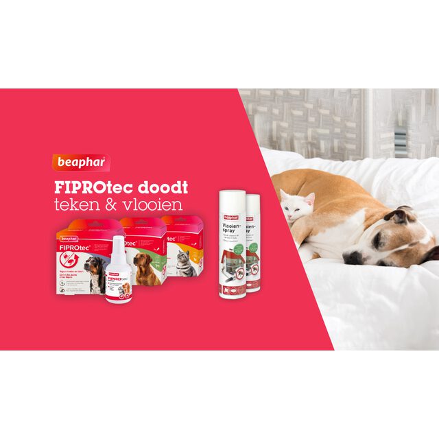 Beaphar FIPROtec doodt teken & vlooien