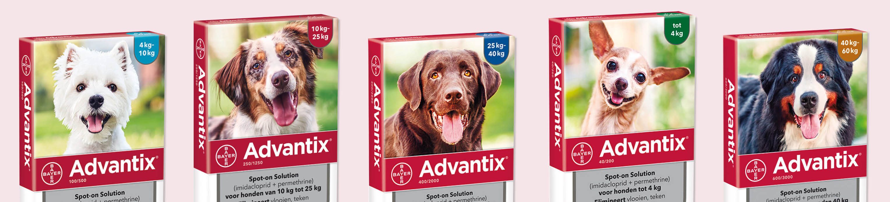 Advantix voor honden