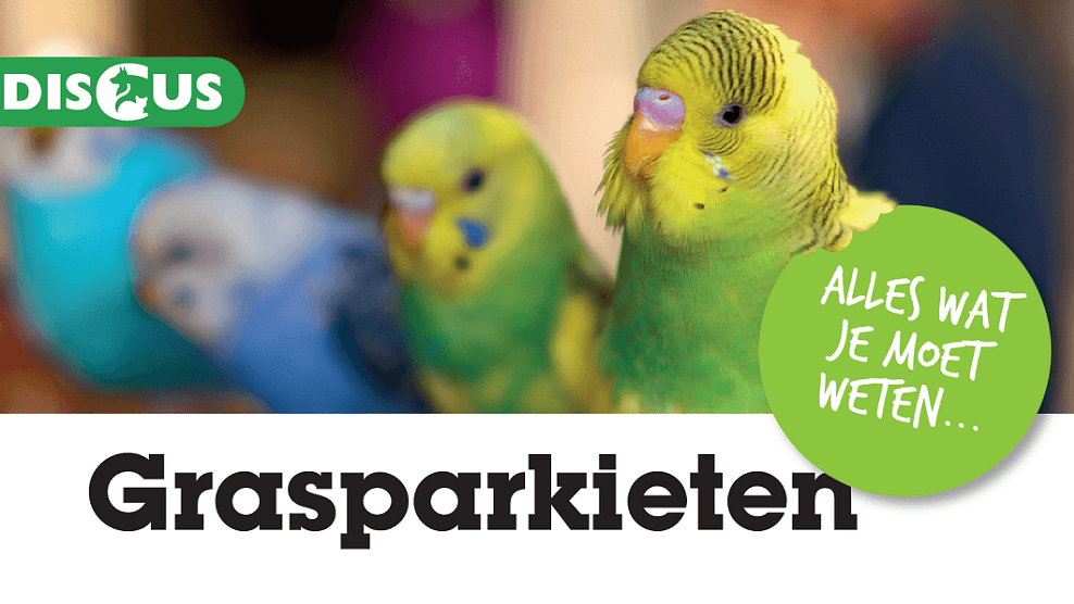 Grasparkieten Infogids met Checklist